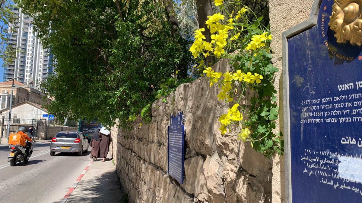 Rue des prophètes | Sage comme une image